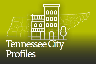 New City and County Demographic Info is at Your Fingertips